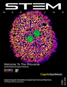 STEM Magazine